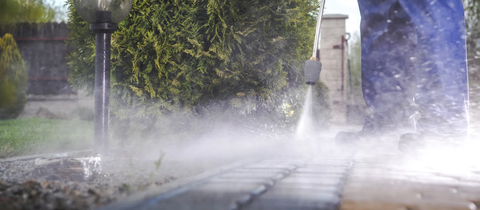 Professional and Reliable Company in Your Area